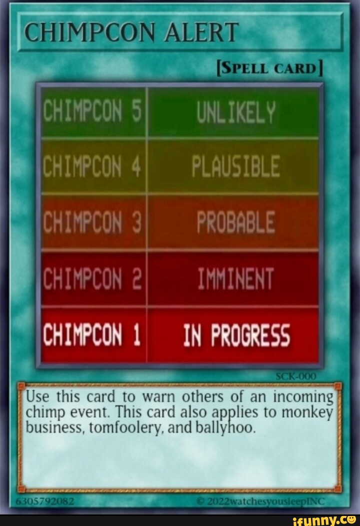 Squirrels really do be getting big this time of the year - iFunny