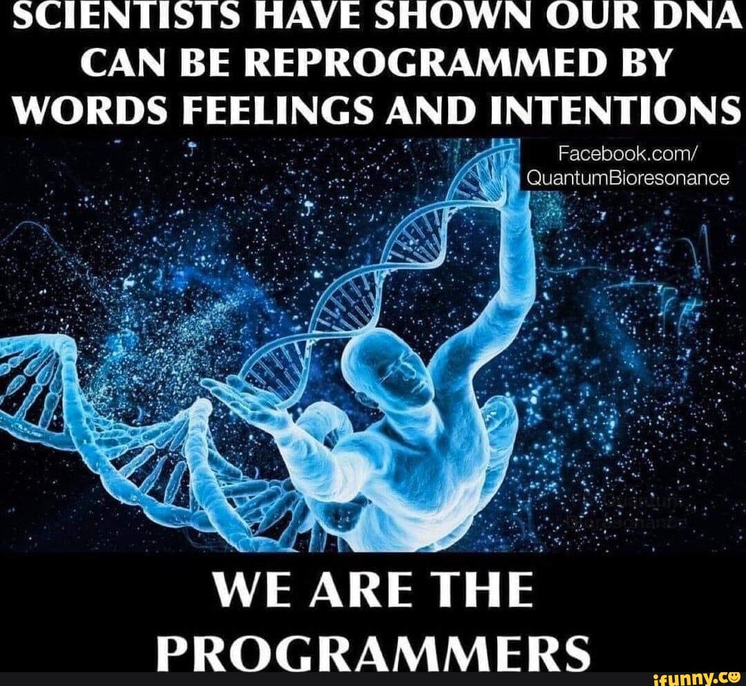 SCIENTISTS HAVE SHOWN OUR DNA CAN BE REPROGRAMMED BY WORDS FEELINGS AND ...