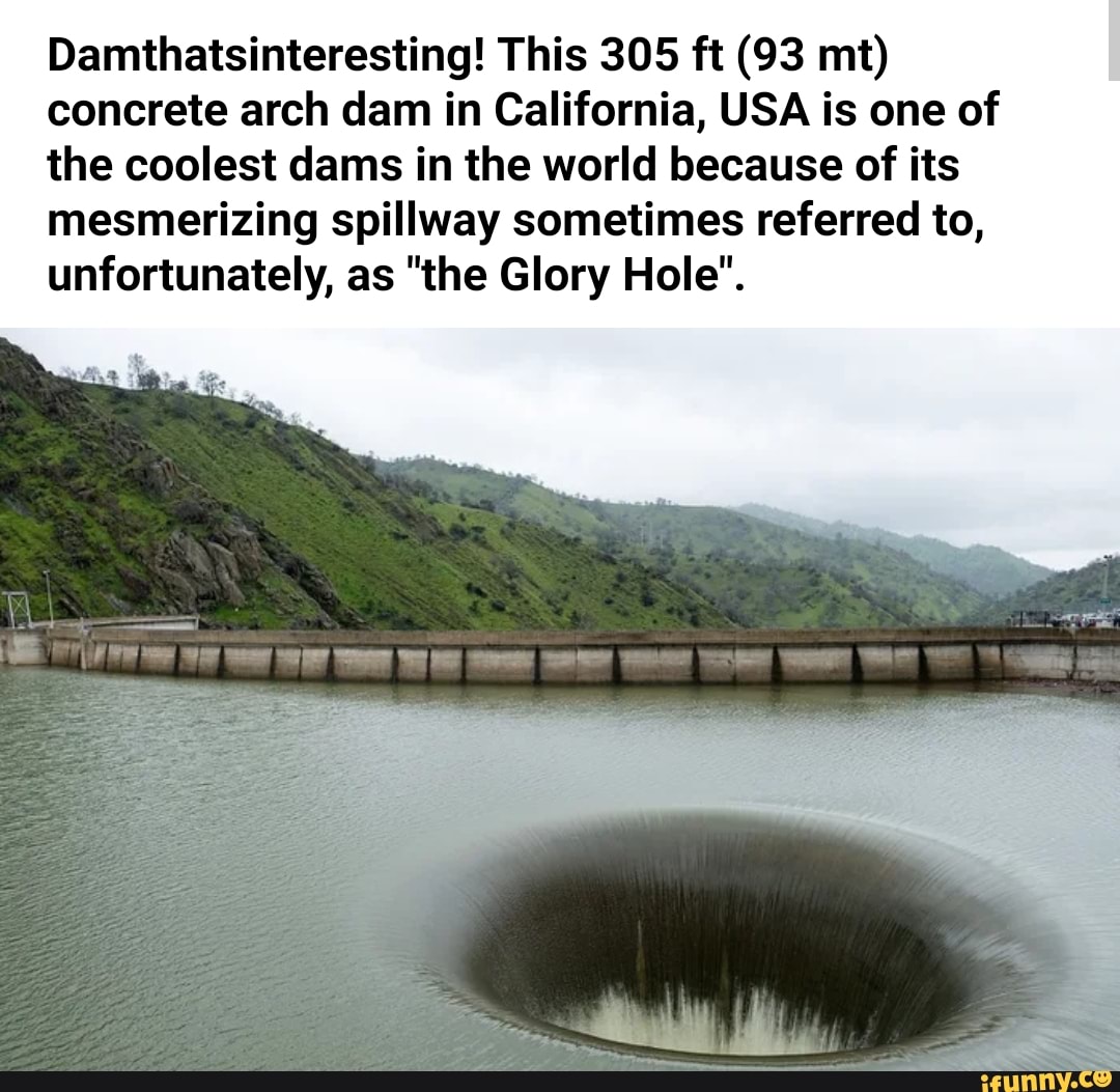 Damthatsinteresting memes. Best Collection of funny Damthatsinteresting ...