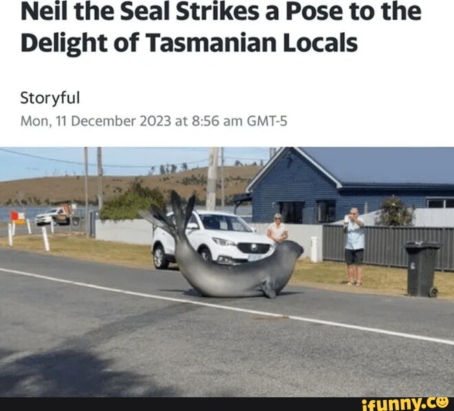 Neil the Seal Strikes a Pose to the Delight of Tasmanian Locals ...