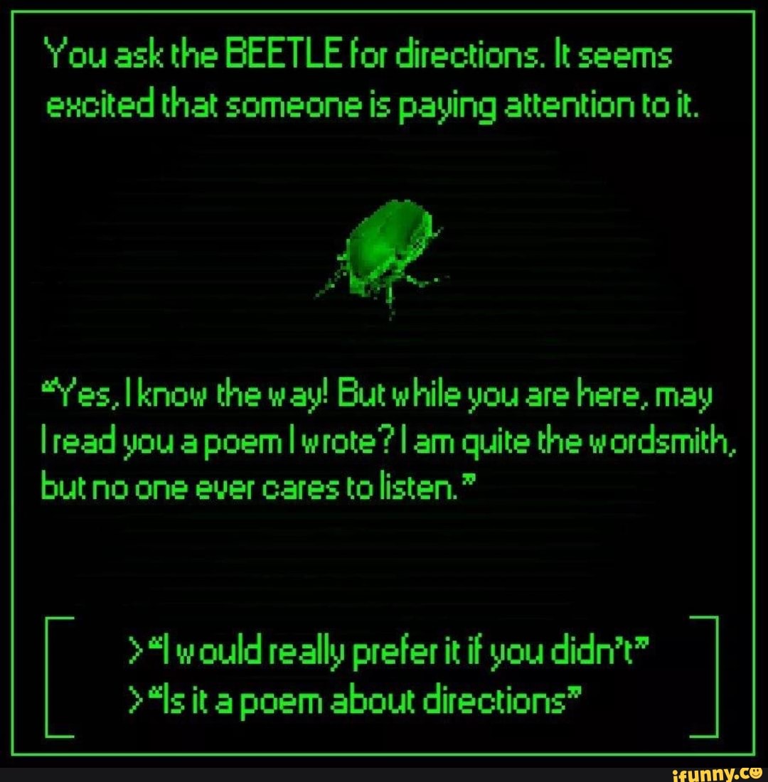 You ask the BEETLE for directions. It seems excited that someone is ...