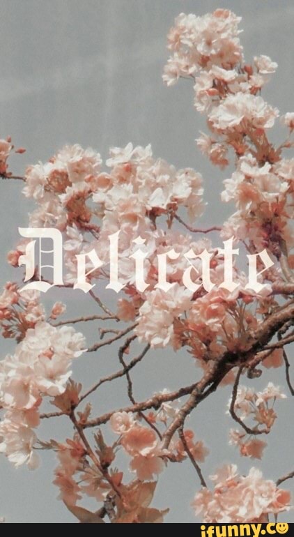 Picture memes DxXxyf3C7 by magically_aesthetics_2019 - iFunny