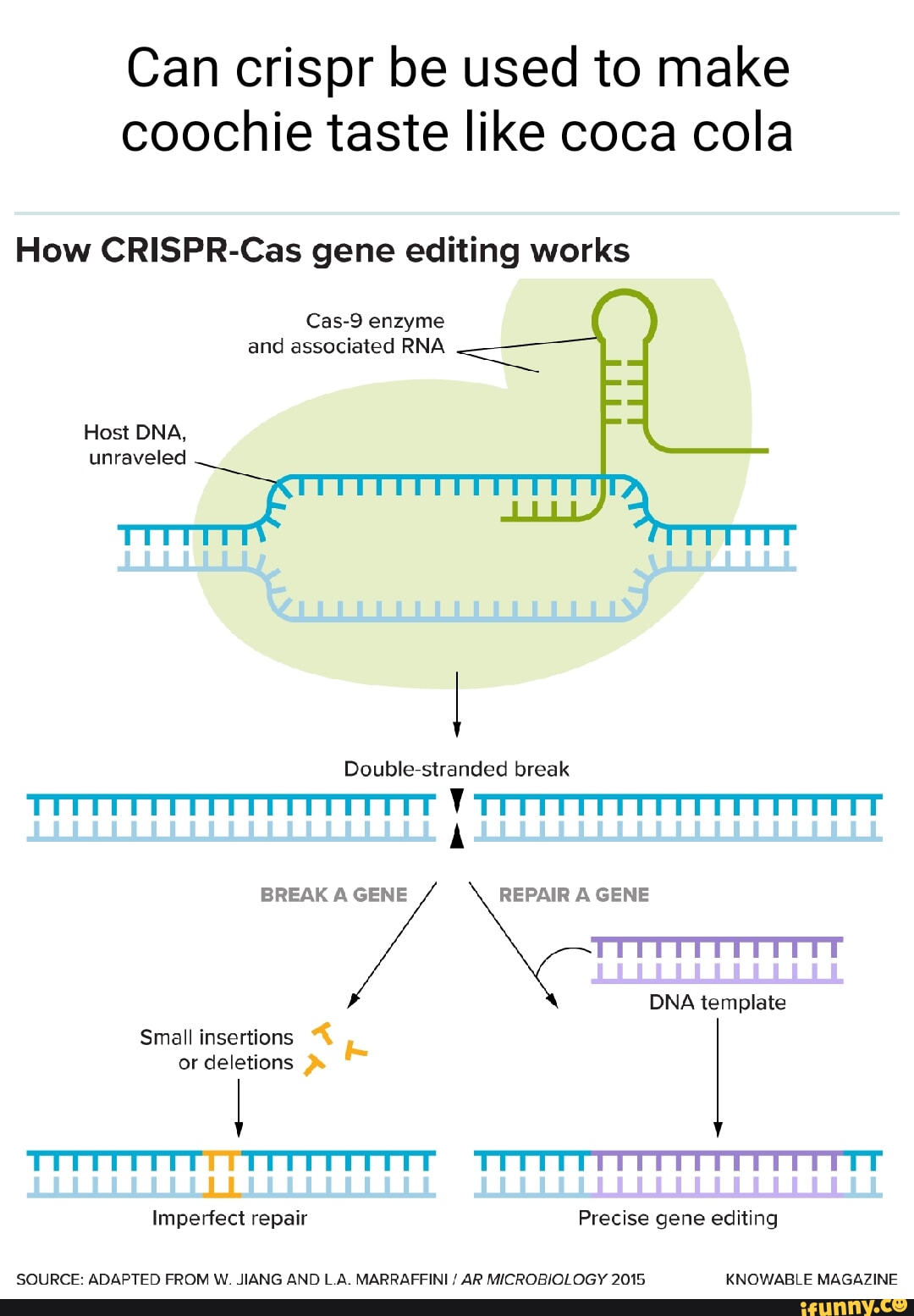 Enzyme memes. Best Collection of funny Enzyme pictures on iFunny