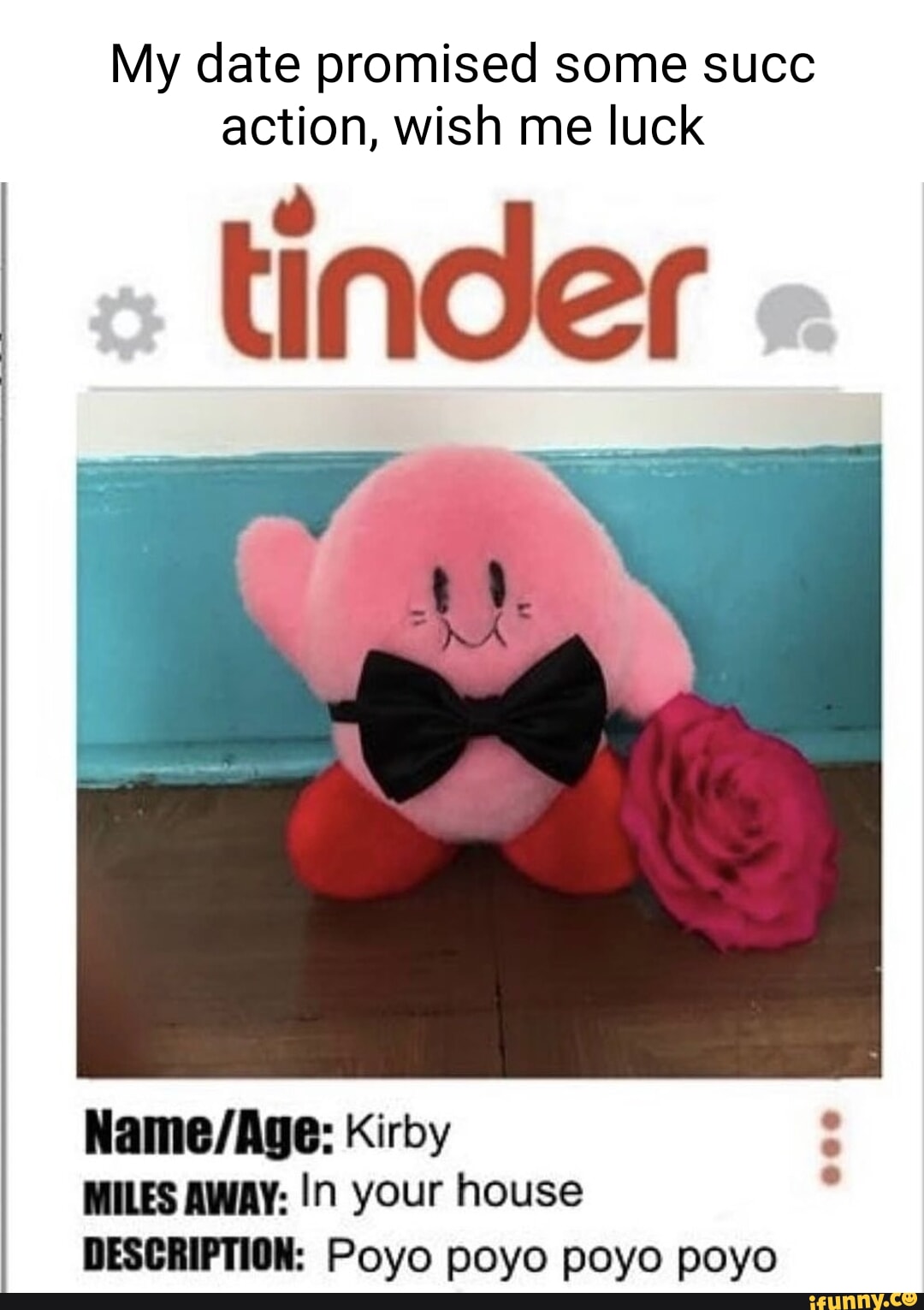 Poyo memes. Best Collection of funny Poyo pictures on iFunny