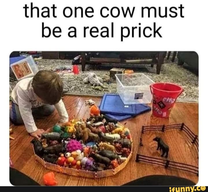 That one cow must be a real prick - iFunny