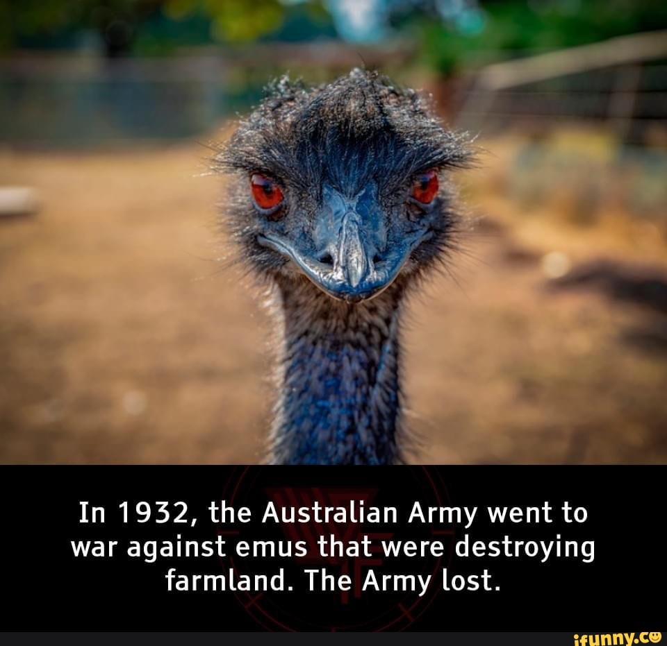 In 1932, the Australian Army went to war against emus that were ...