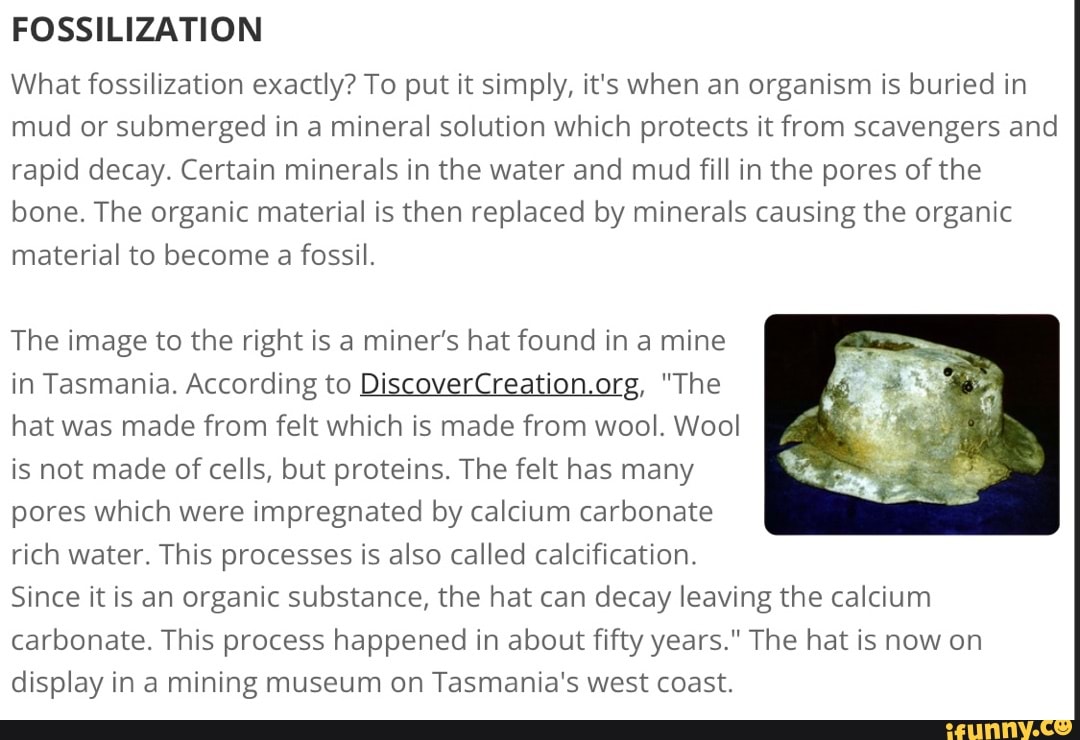 Fossilization Memes Best Collection Of Funny Fossilization Pictures On Ifunny
