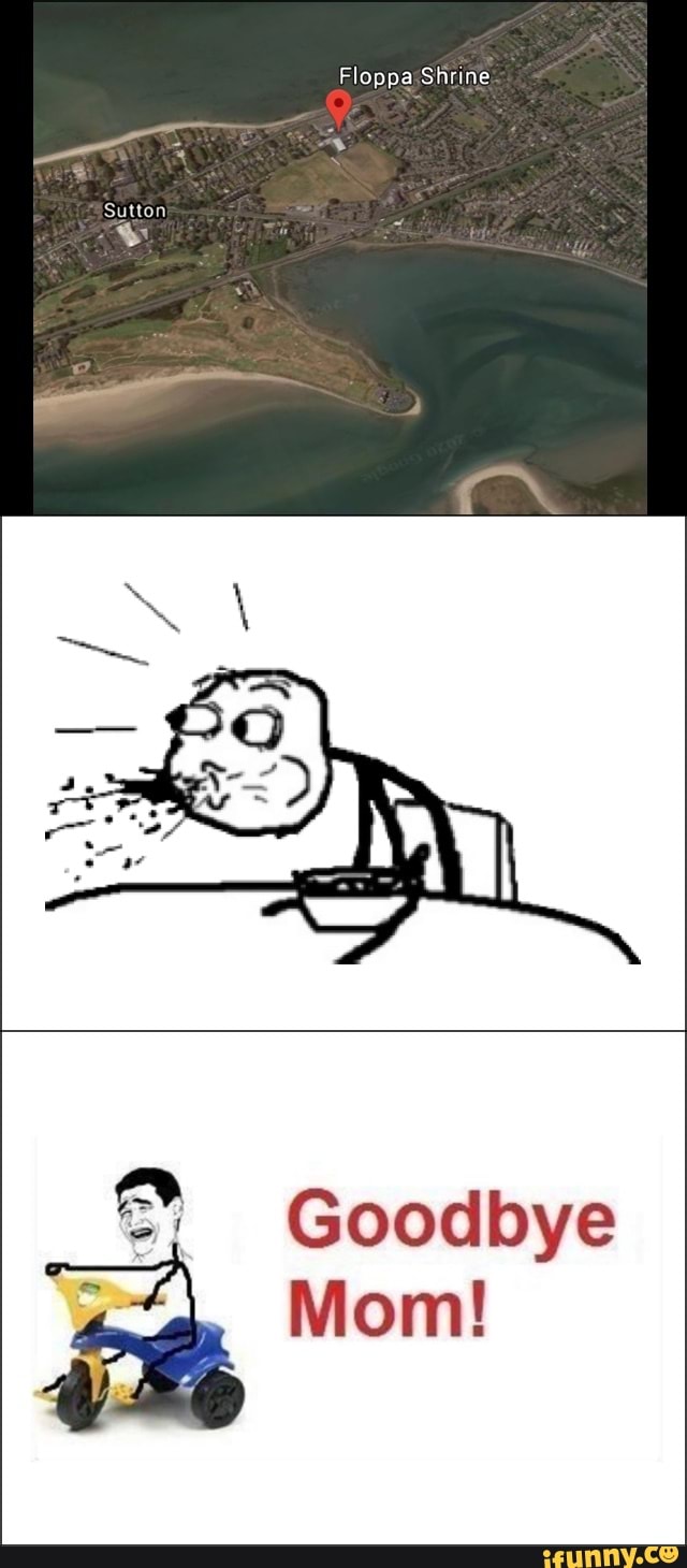 Goodbyemom memes. Best Collection of funny Goodbyemom pictures on iFunny