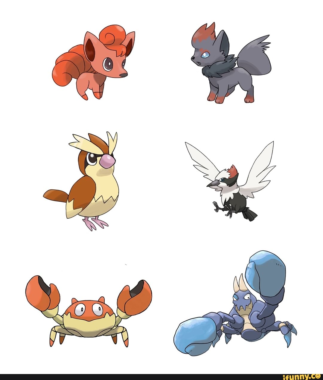 Genwunner memes. Best Collection of funny Genwunner pictures on iFunny
