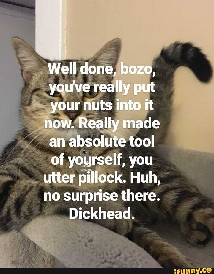 Oí yourself you Bco pillock. Huh, no surprise there. 4 Dickhead. a PS ...