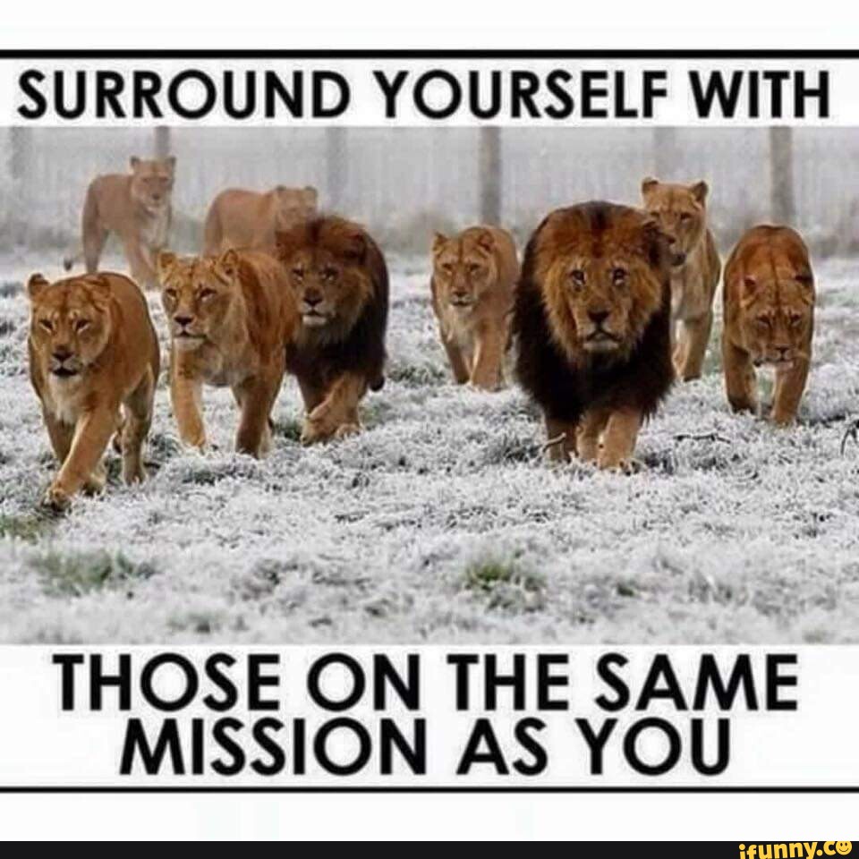 SURROUND YOURSELF WITH THOSE ON THE SAME MISSION AS YOU - iFunny Brazil