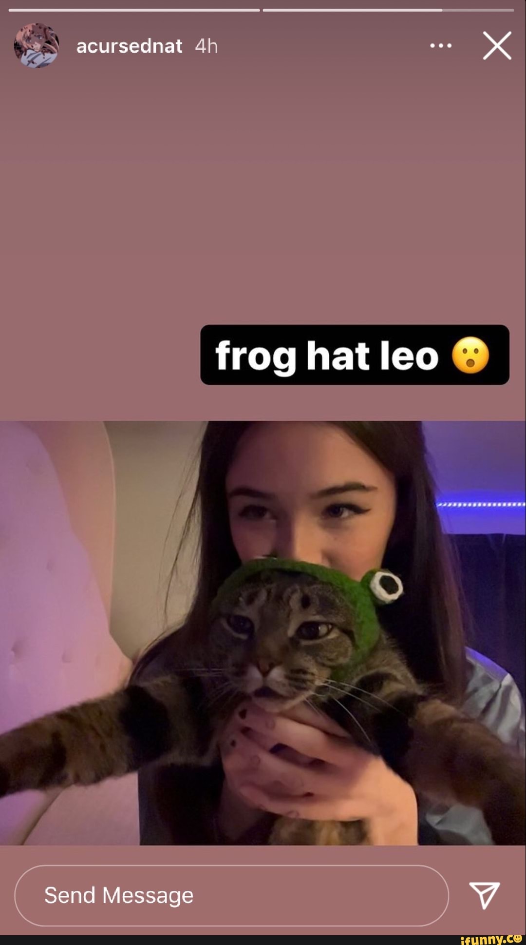 Acursednat memes. Best Collection of funny Acursednat pictures on iFunny