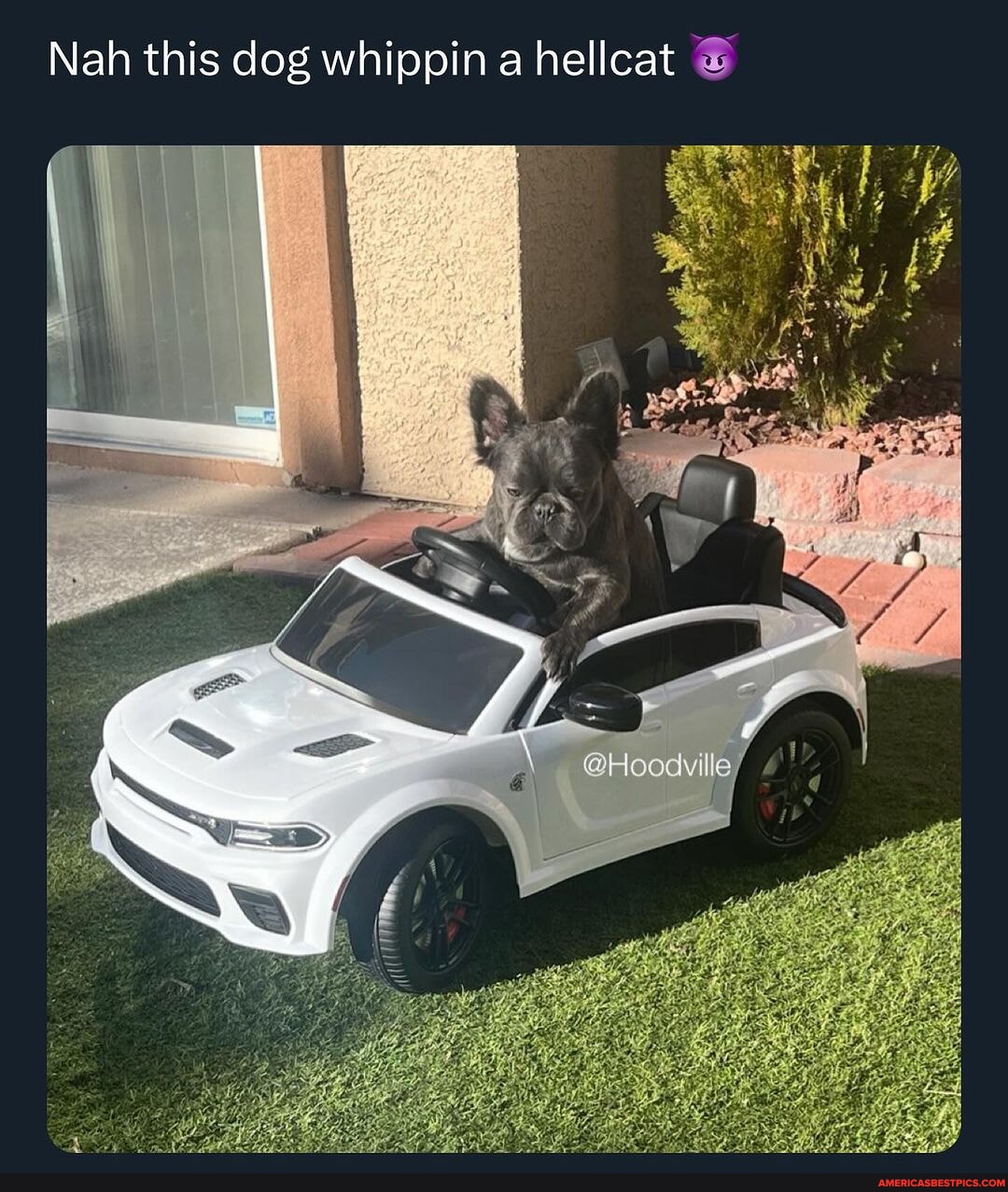 He got a hellcat before me dawg 💀💀💀💀💀💀 - Nah this dog whippin a hellcat ...