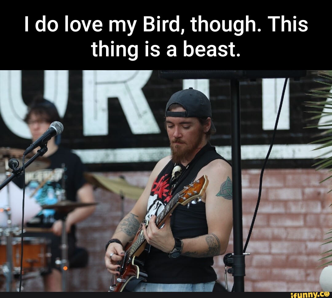 Mockingbird memes. Best Collection of funny Mockingbird pictures on iFunny