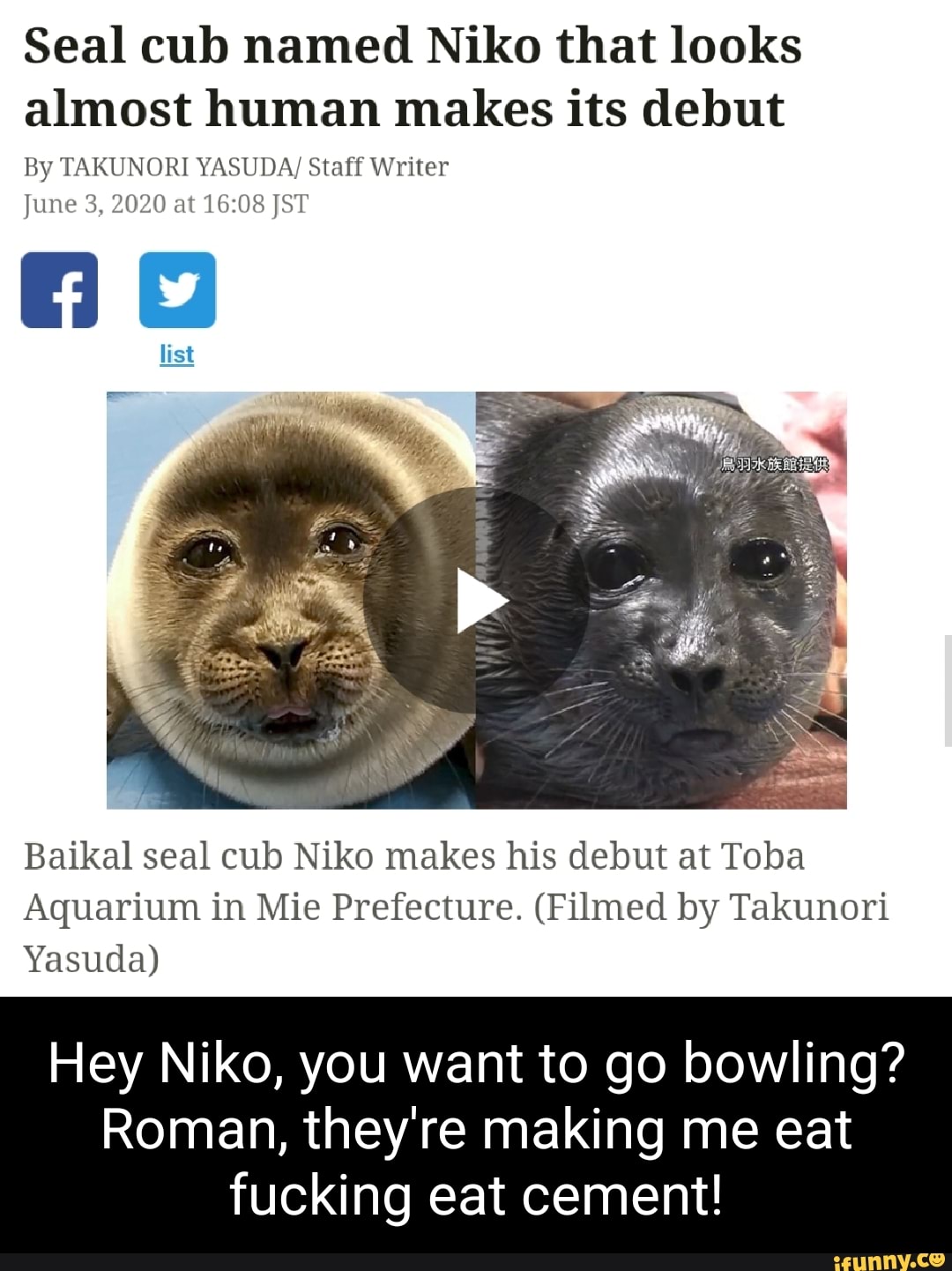 Seal cub named Niko that looks almost human makes its debut By TAKUNORI ...