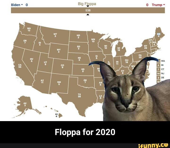 Tampo memes. Best Collection of funny Tampo pictures on iFunny