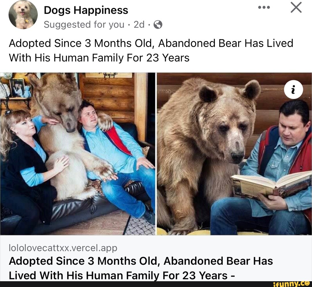 Vercel memes. Best Collection of funny Vercel pictures on iFunny