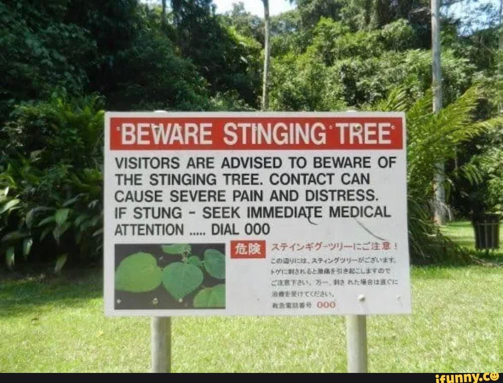 BEWARE STINGING TREE I VISITORS ARE ADVISED TO BEWARE OF THE STINGING ...