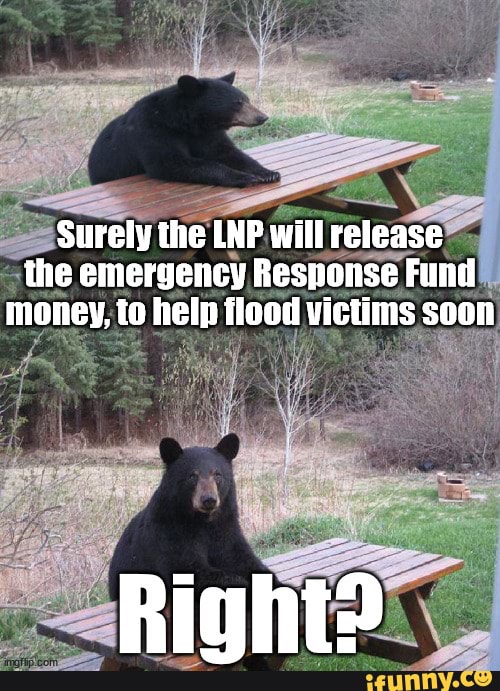 Qldfloods memes. Best Collection of funny Qldfloods pictures on iFunny