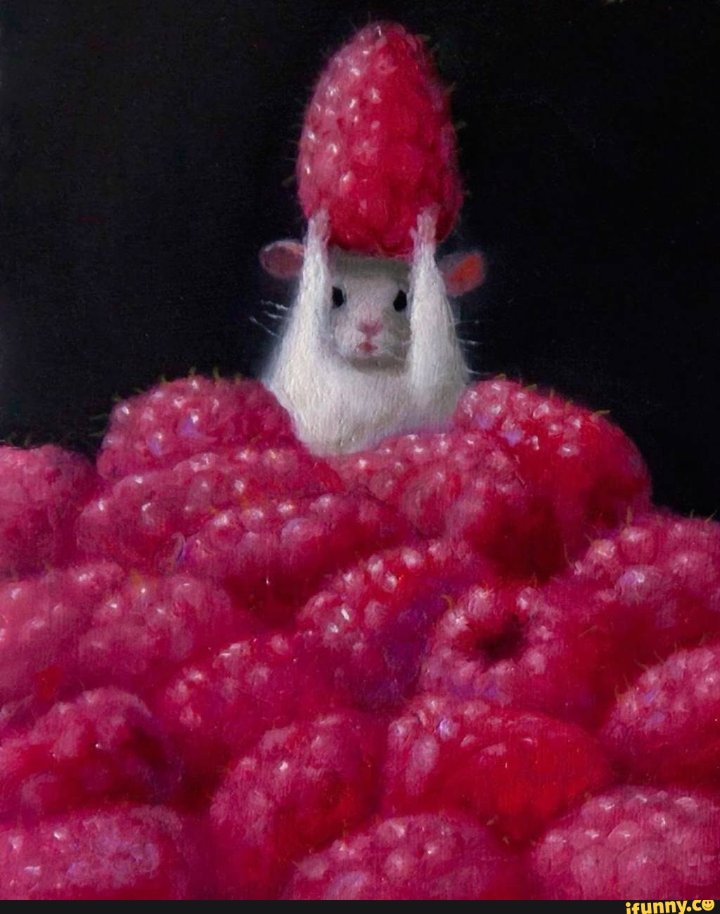 Berry memes. Best Collection of funny Berry pictures on iFunny