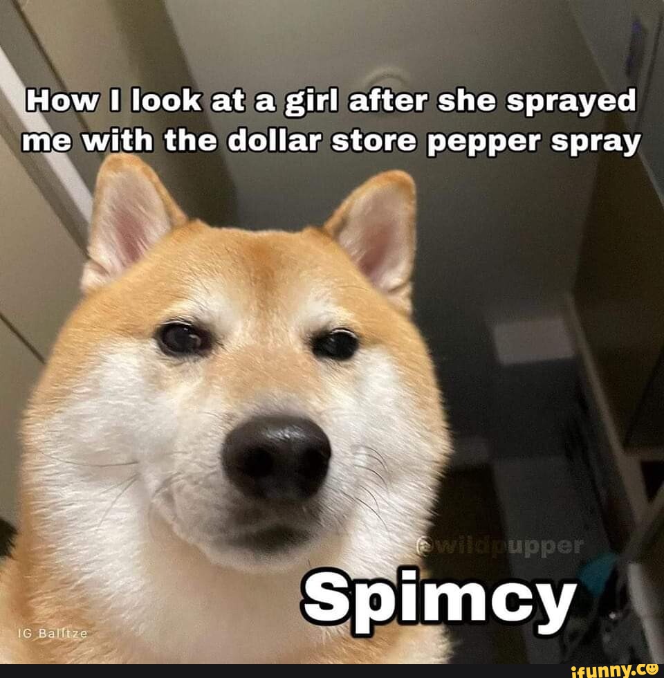 How I look at a girl after she sprayed me with the dollar store pepper ...