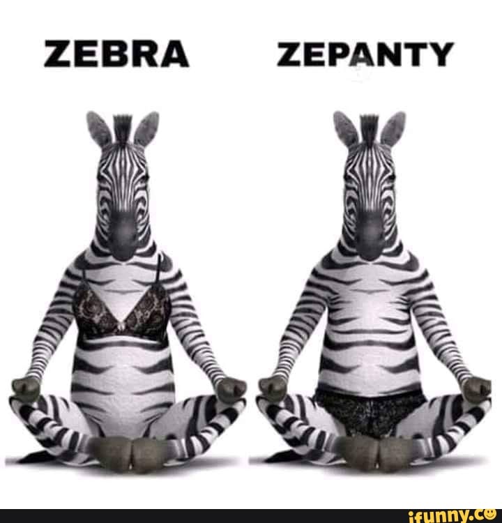 Zepanty memes. Best Collection of funny Zepanty pictures on iFunny