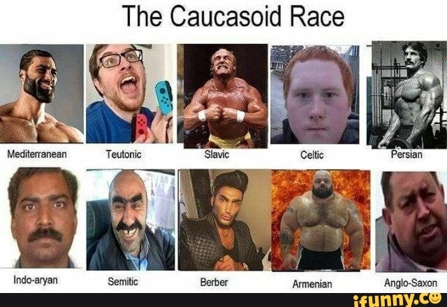 The Caucasoid Race Indo-aryan 'Anglo-Saxon - iFunny