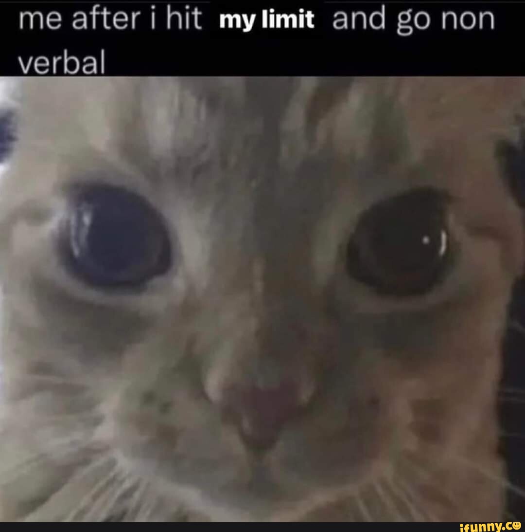 Me after i hit my limit and go non verbal - iFunny
