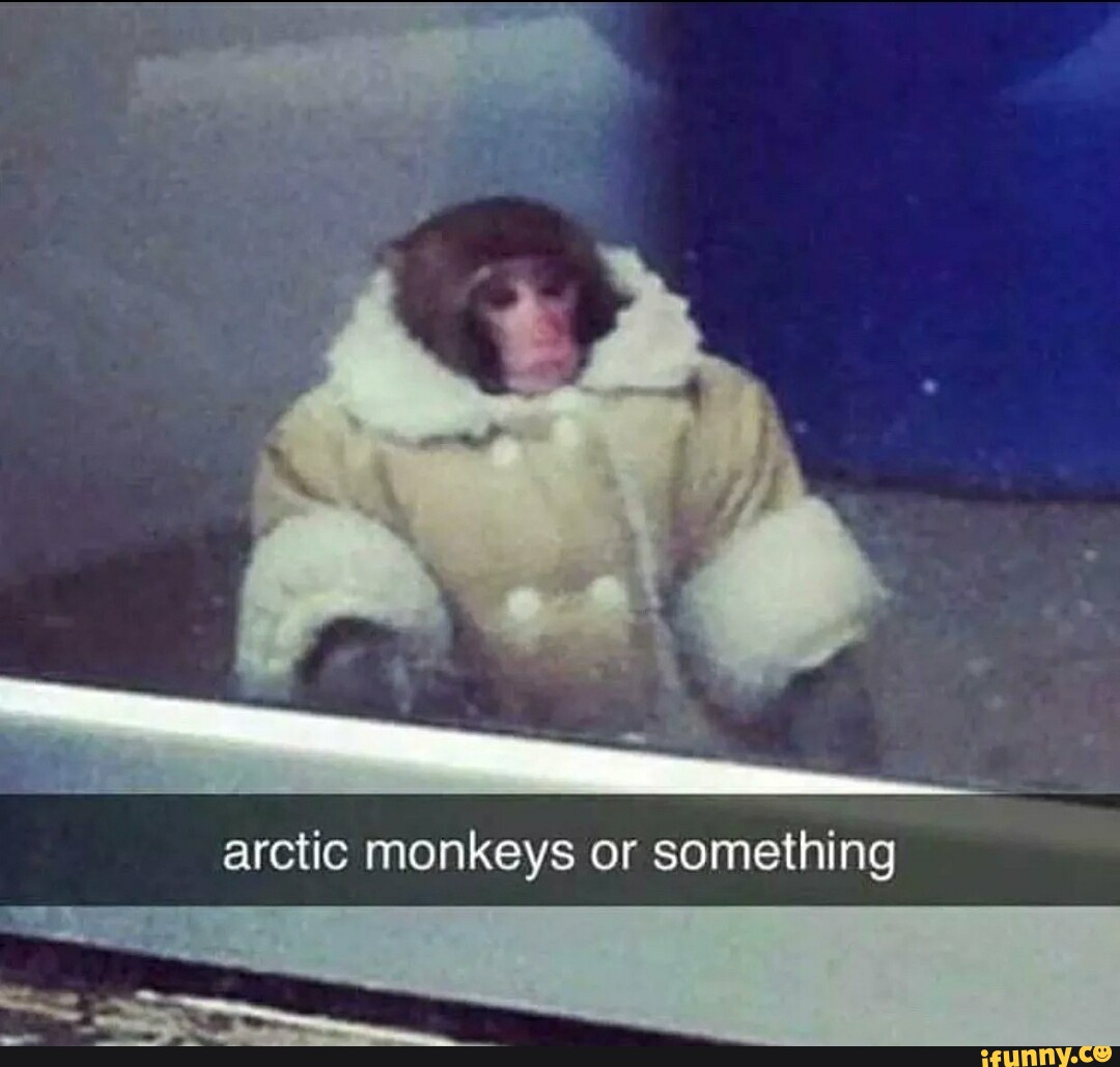 Arctic Monkeys memes memes. The best memes on iFunny