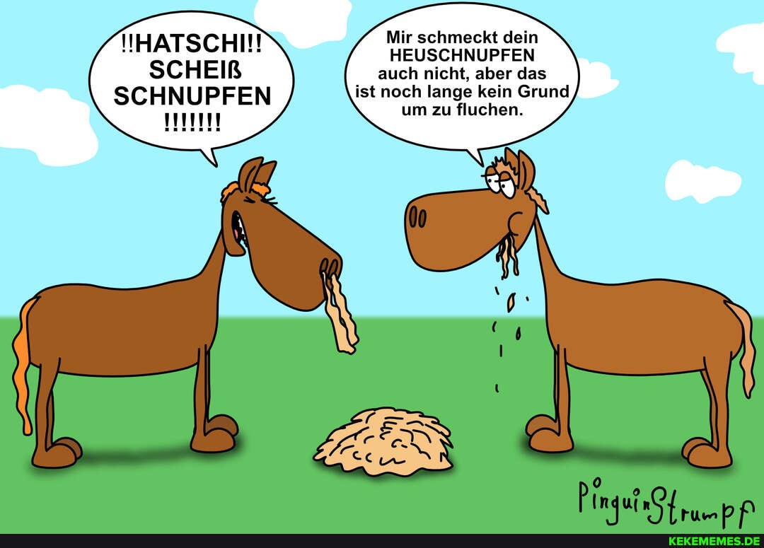 🐧🧦😀👍 🐴#pferd #pinguinstrumpf #heuschnupfenzeit #Heuschnupfen # ...