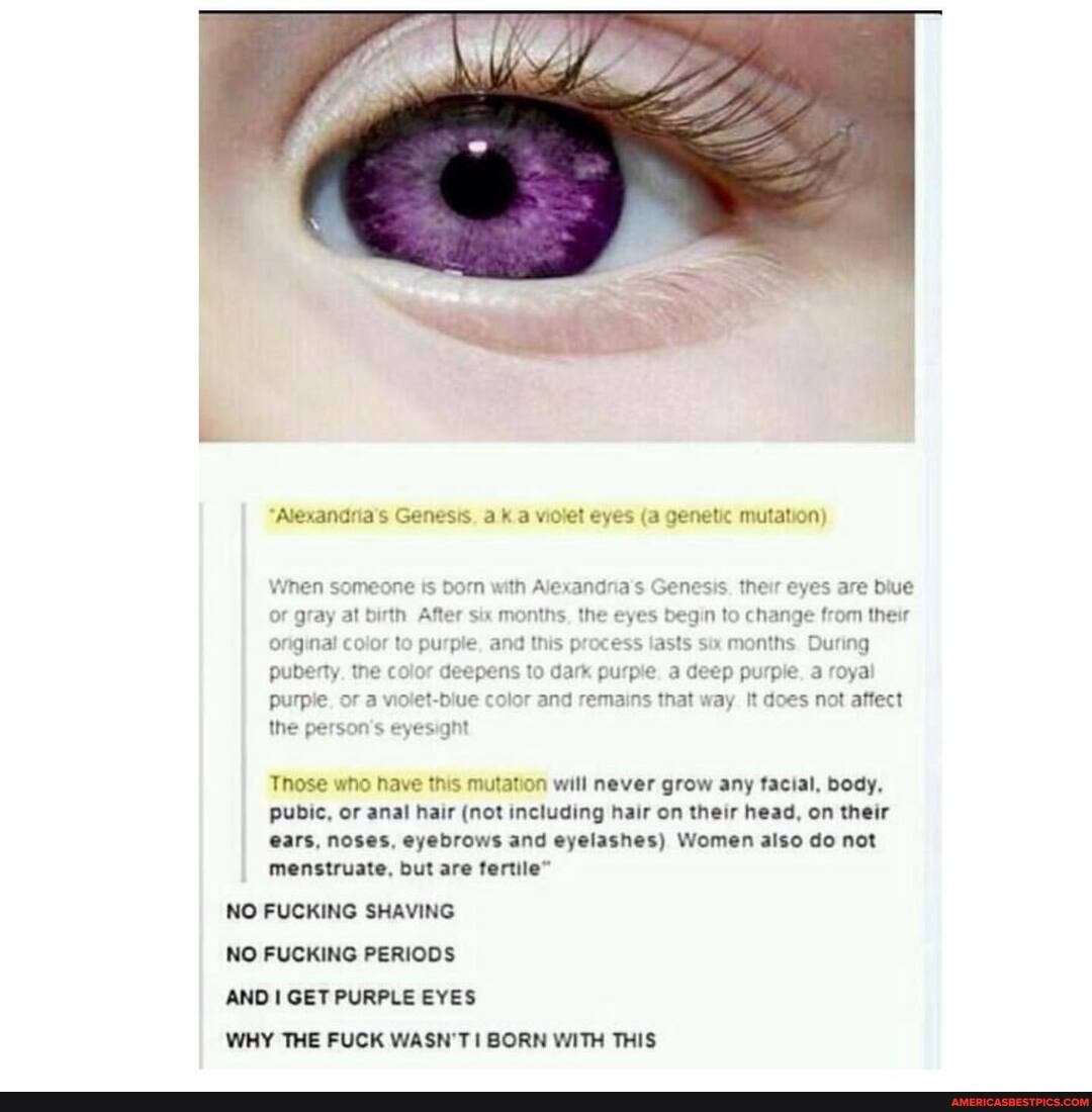 "Alexandria's Genesis. .a violet eyes (a genetic mutation) When someone ...