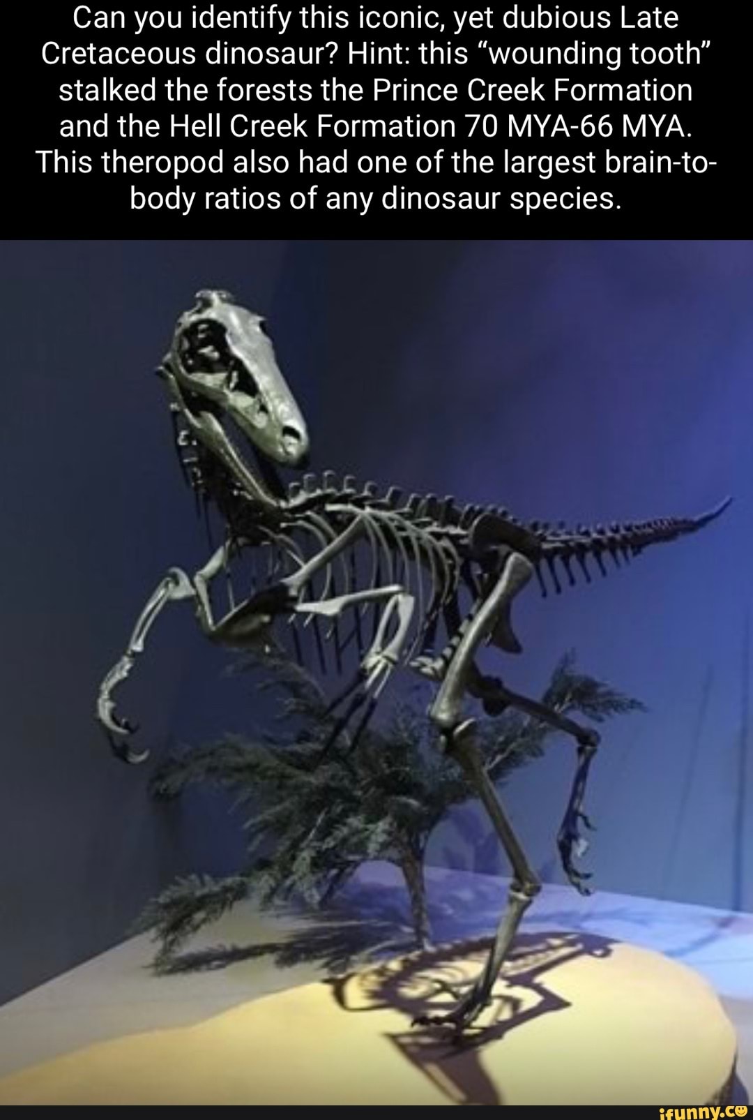 Can you identify this iconic, yet dubious Late Cretaceous dinosaur ...