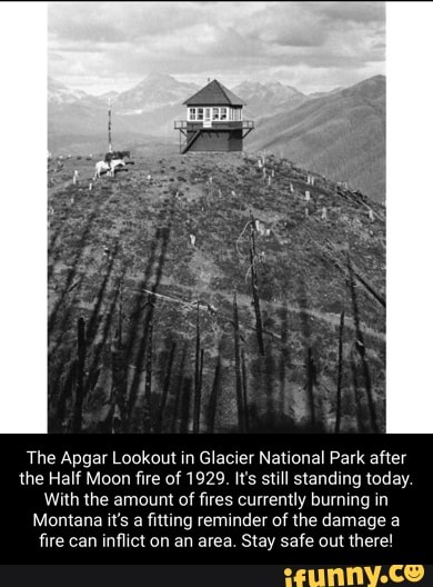 Apgar memes. Best Collection of funny Apgar pictures on iFunny