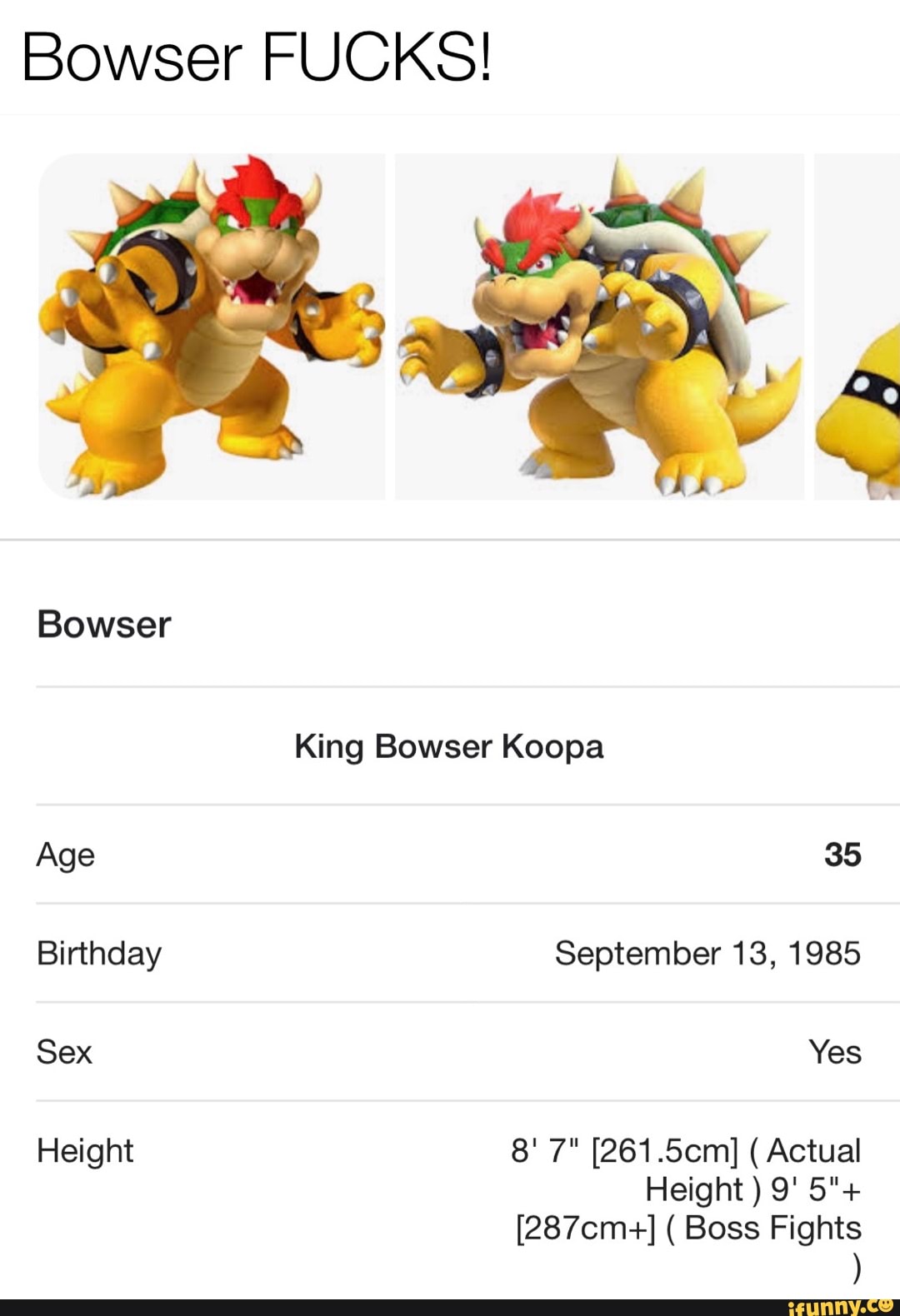 Bowser FUCKS! Bowser Age Birthday Sex Height King Bowser Koopa 35 ...
