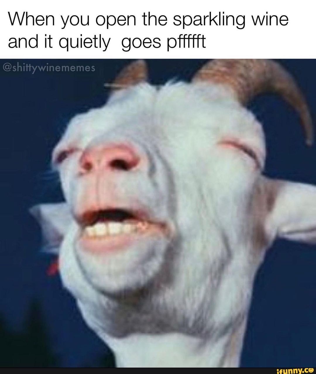 Pffffft memes. Best Collection of funny Pffffft pictures on iFunny