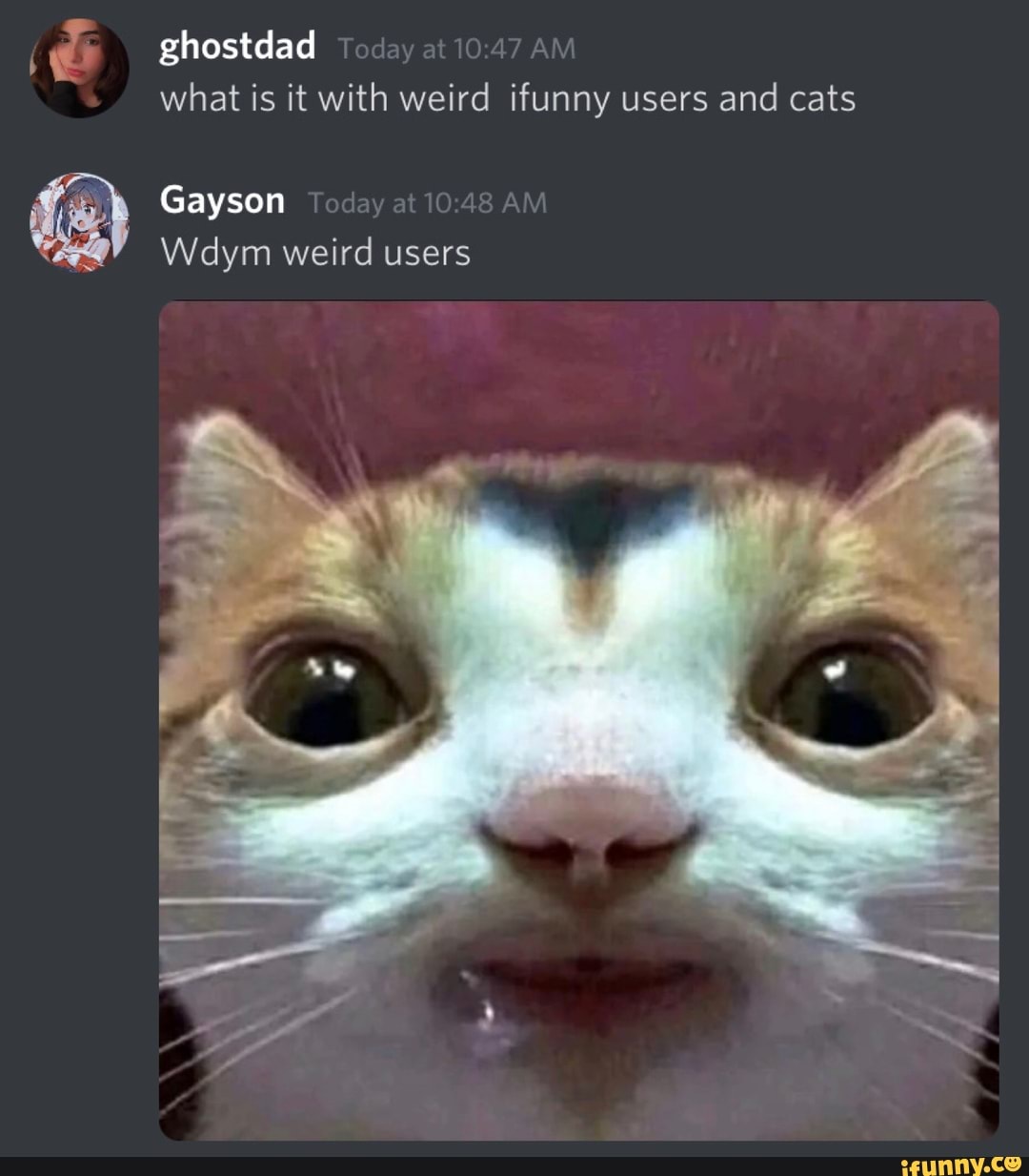 Ghostdad what is it with weird ifunny users and cats Gayson Wdym weird ...