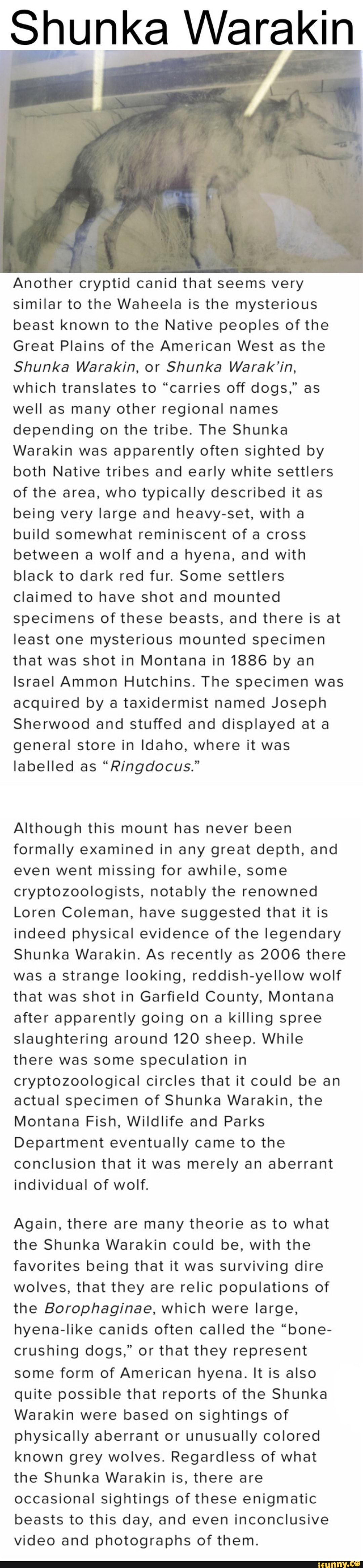 Shunka Warakin Another cryptid canid that seems very similar to the ...