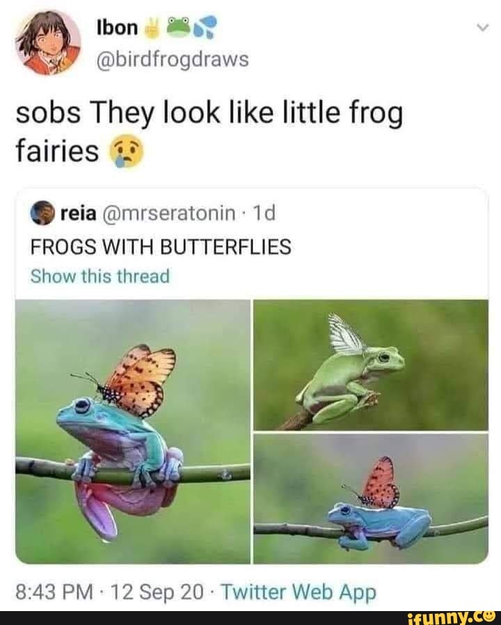 @birdfrogdraws sobs They look like little frog fairies reia ...