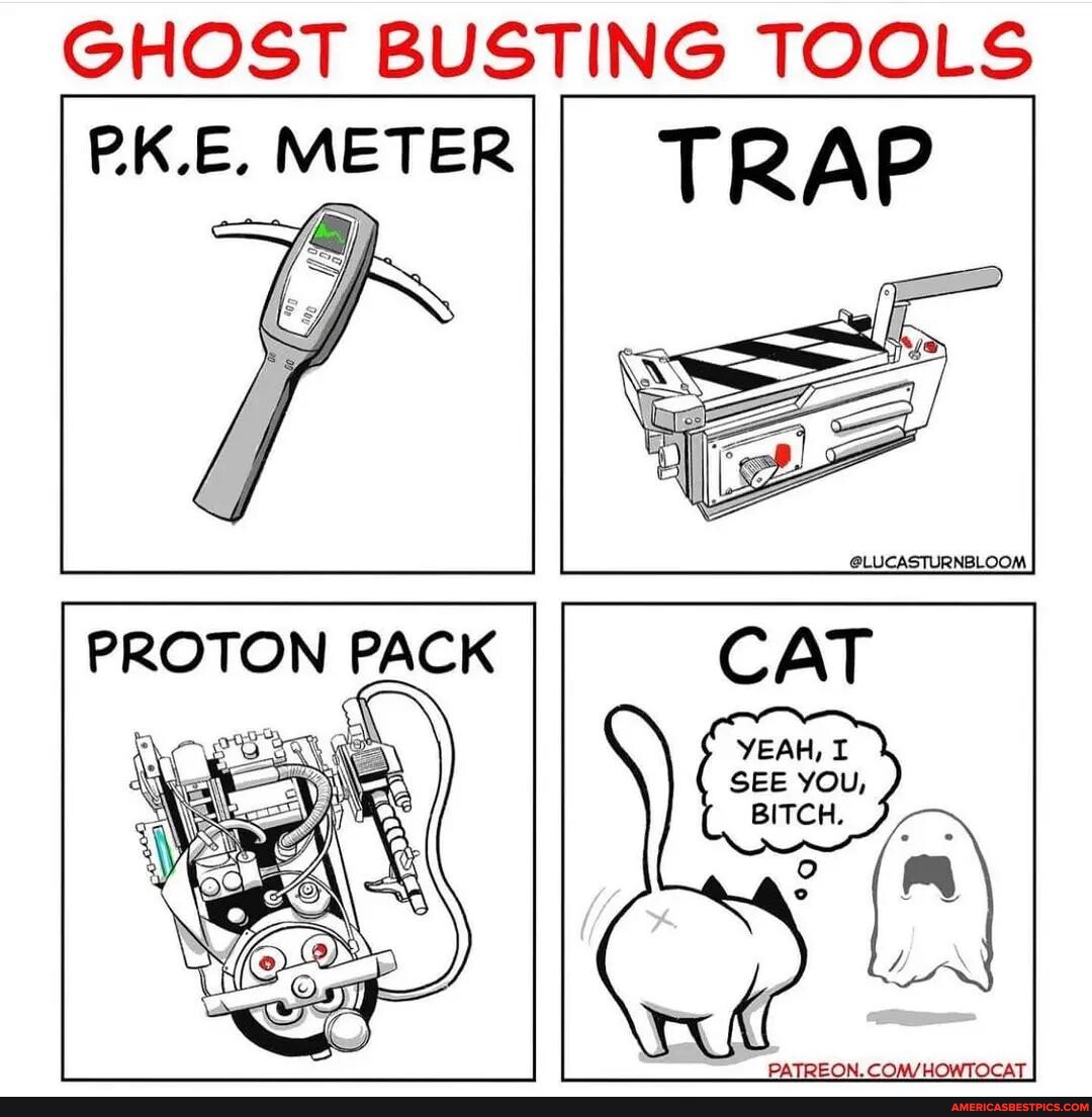 GHOST BUSTING TOOLS PK.E. METER TRAP - America’s best pics and videos
