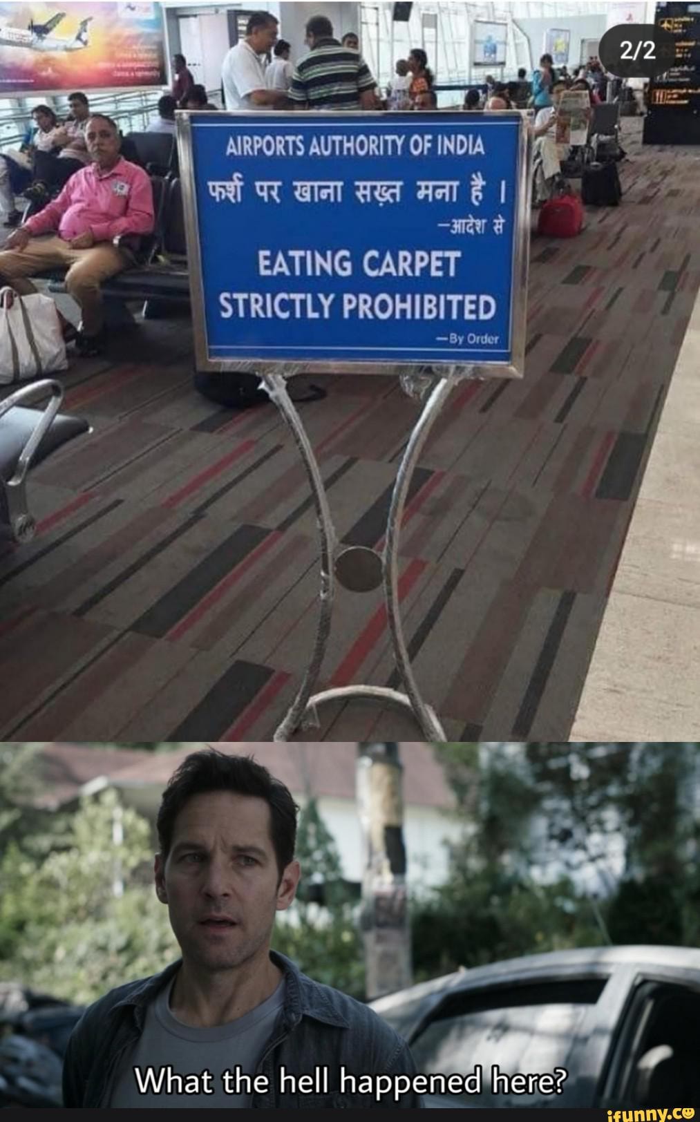 EATING CARPET I STRICTLY PROHIBITED I What the hell happened"here? - iFunny