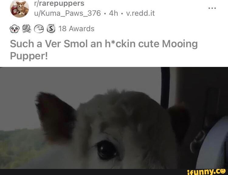 Smol memes. Best Collection of funny Smol pictures on iFunny