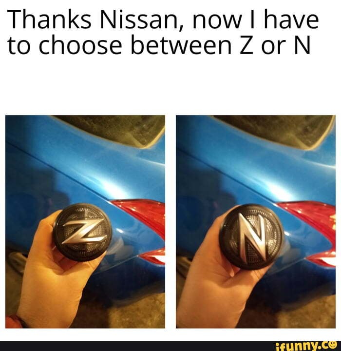 The Irish werewolf is different from the Teutonic or European werewolf ...