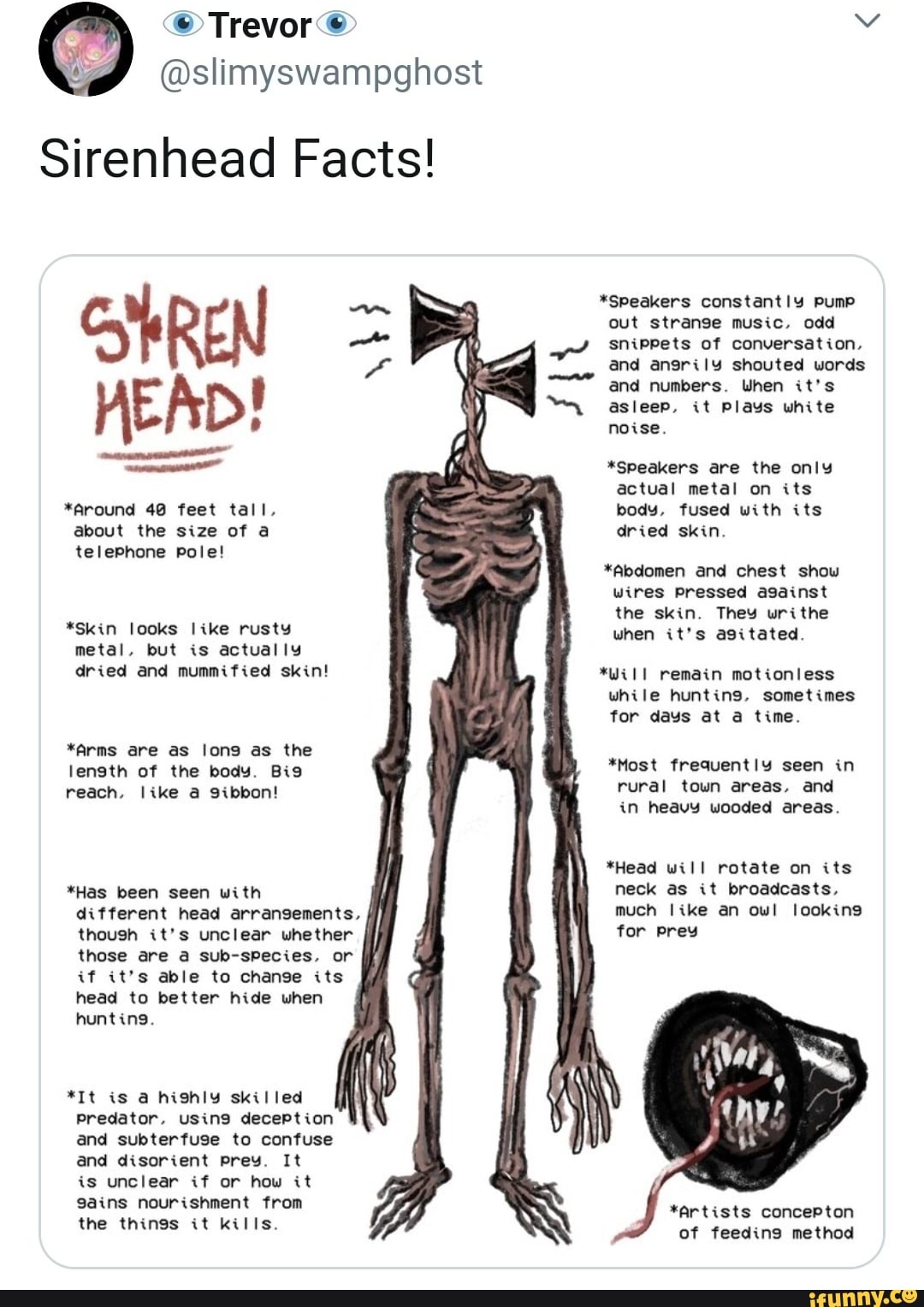slimyswampghost-sirenhead-facts-sren-head-around-4-feet-tall