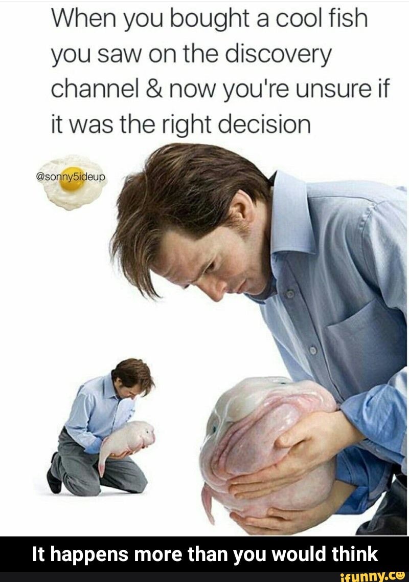 When you bought a cool fish you saw on the discovery Channel & now you ...