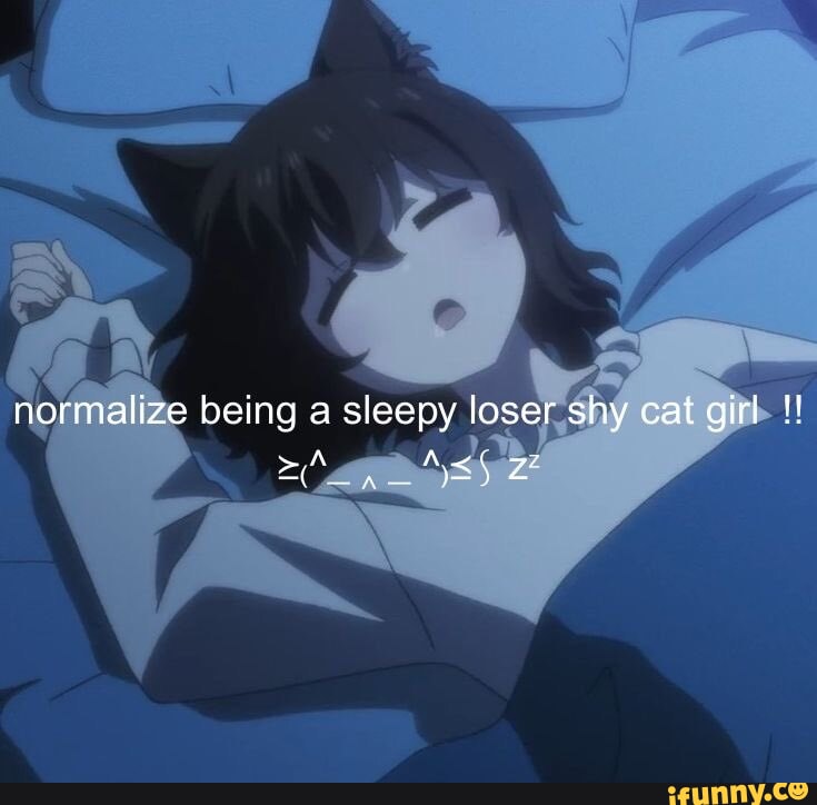 Reincarnatedasasword memes. Best Collection of funny ...