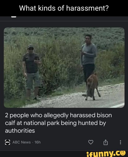 What kinds of harassment? 2 people who allegedly harassed bison calf at ...