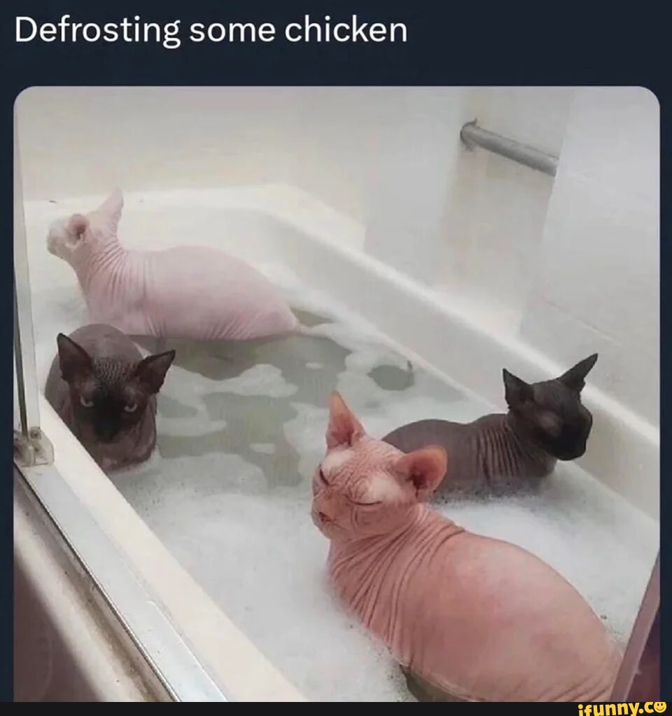 Defrosting memes. Best Collection of funny Defrosting pictures on iFunny