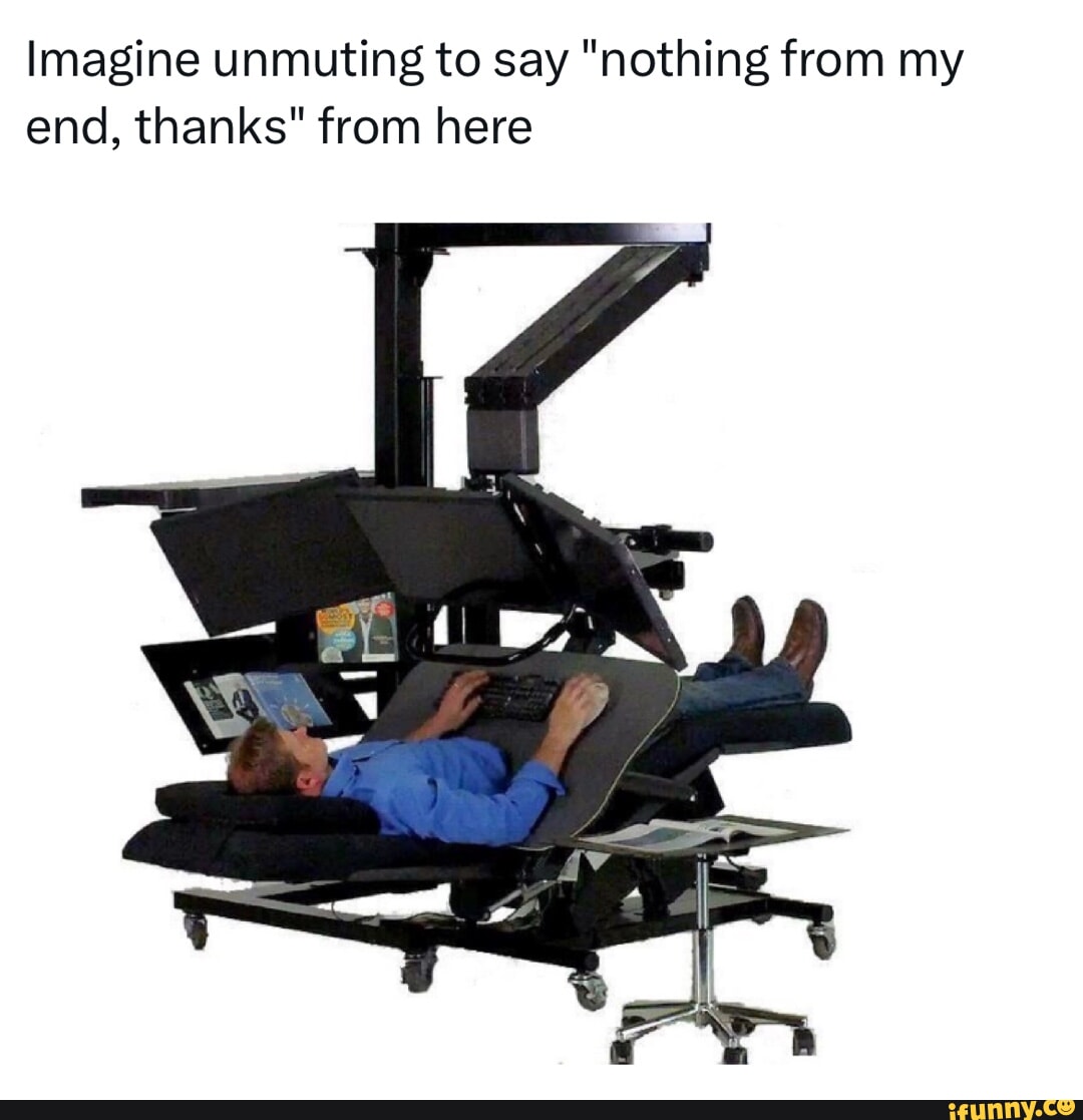 Imagine unmuting to say "nothing from my end, thanks" from here - iFunny