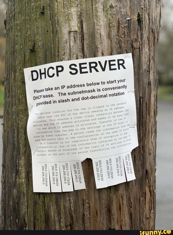 Dhcp memes. Best Collection of funny Dhcp pictures on iFunny