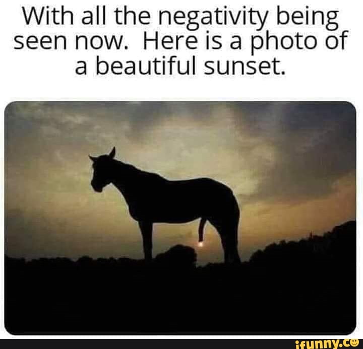 With all the negativity being seen now. Here is a photo of a beautiful ...